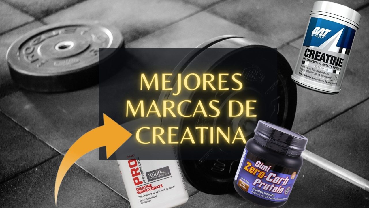 Creatina monohidrato: ¿qué es y cuáles son sus beneficios?